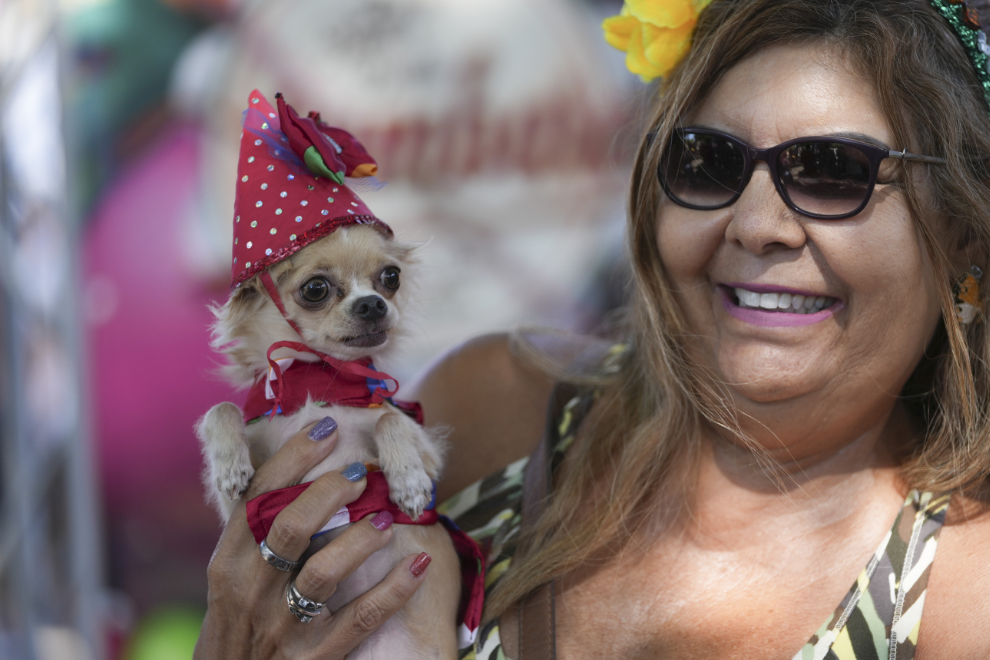 The Rio Carnival street party where dogs parade as superheroes and ...